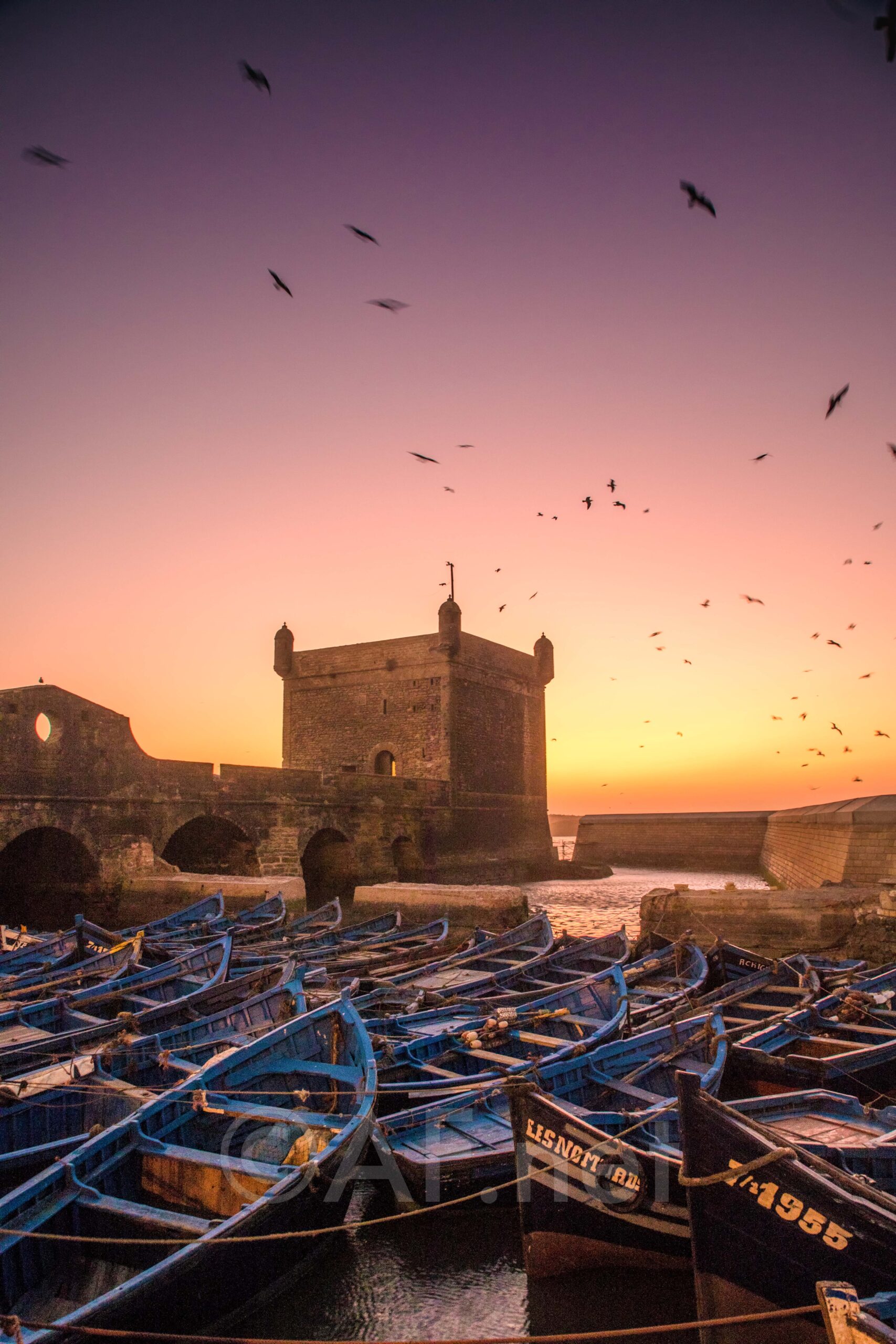 Morocco | AlanFletcher.net
